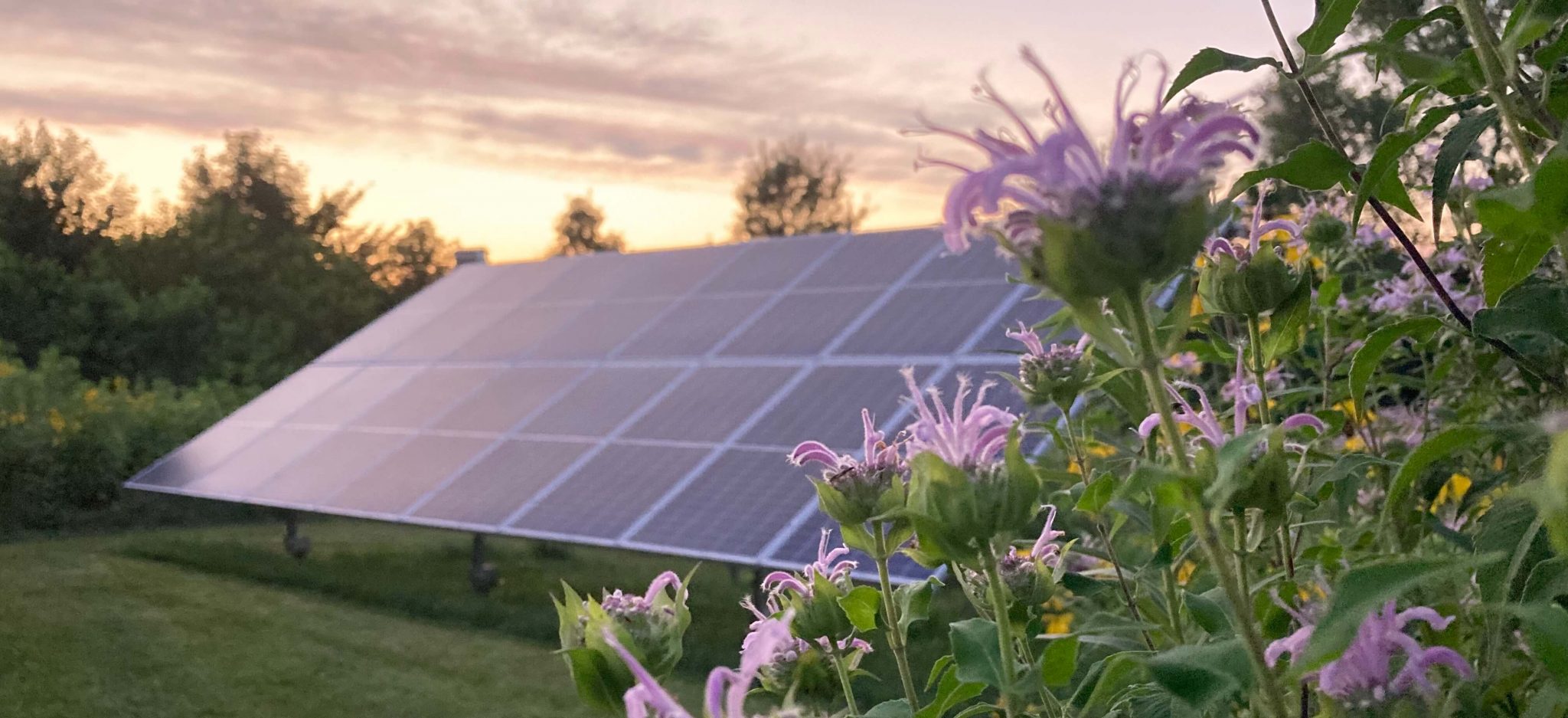 Grow Solar Gateway: Metro East & St. Louis | Grow Solar